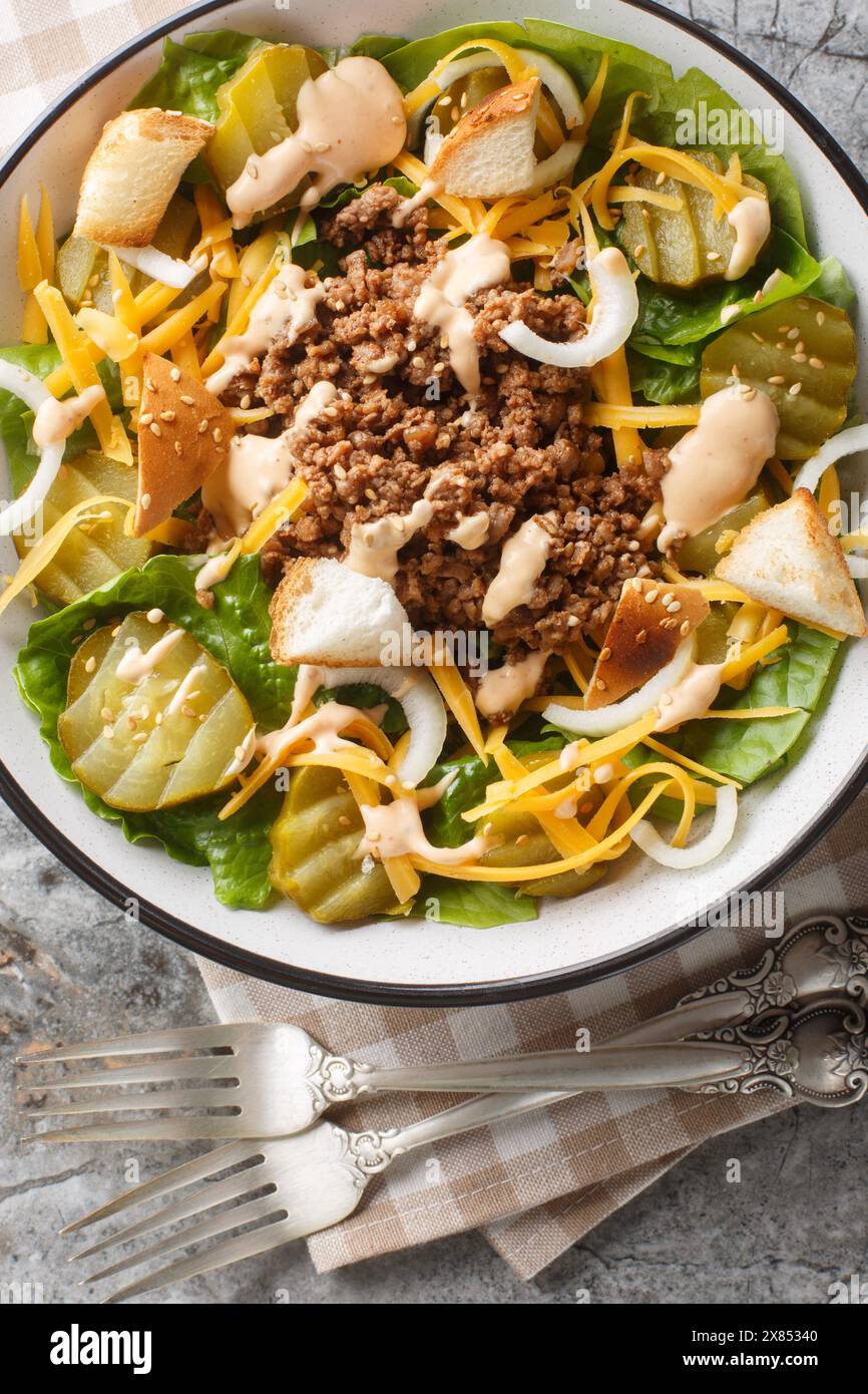 American salad with romaine lettuce, ground beef, pickles, cheddar ...