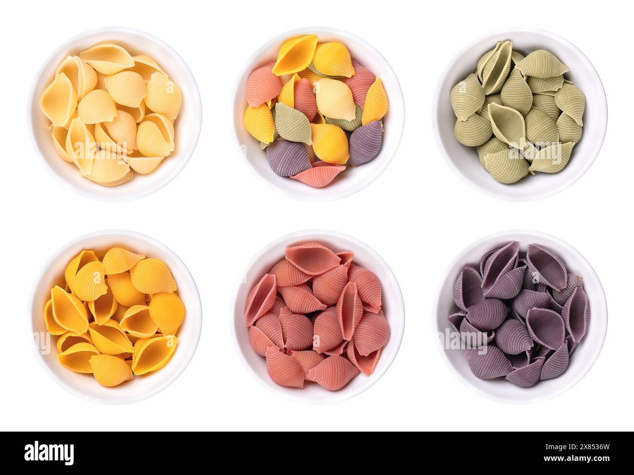 Conchiglie rigate, types of shell shaped and furrowed Italian pasta in ...