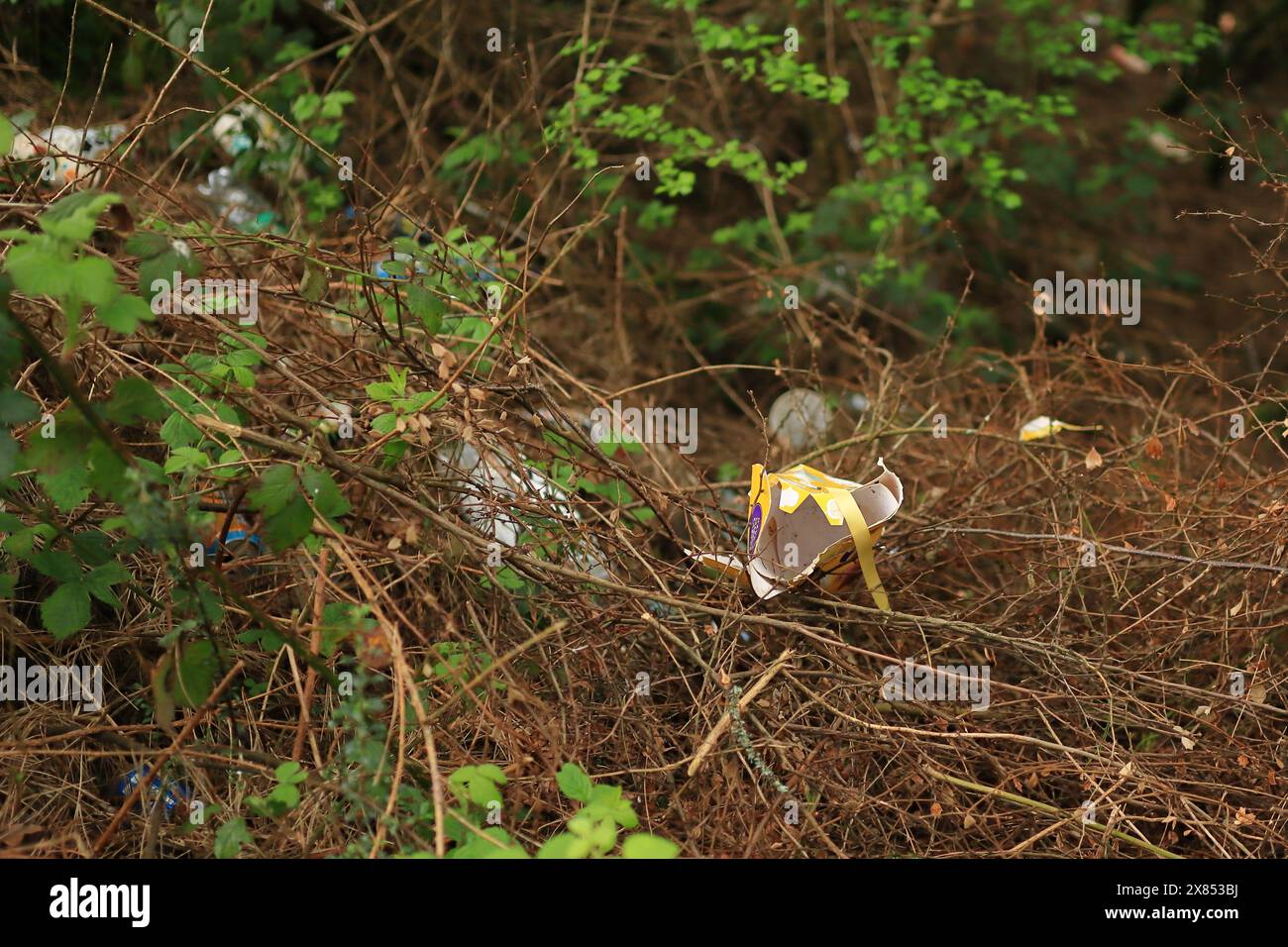 Take-away carton and other litter discarded in a Business Park. 27 ...