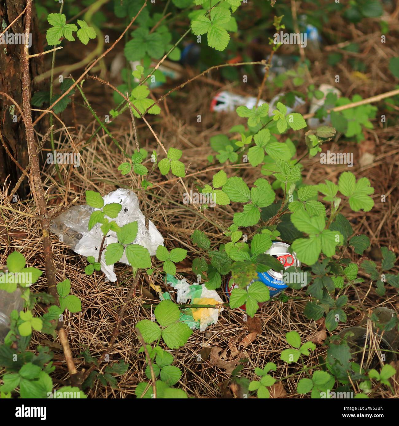 A plastic bag, tin can and other litter discarded in the Cross Hands ...
