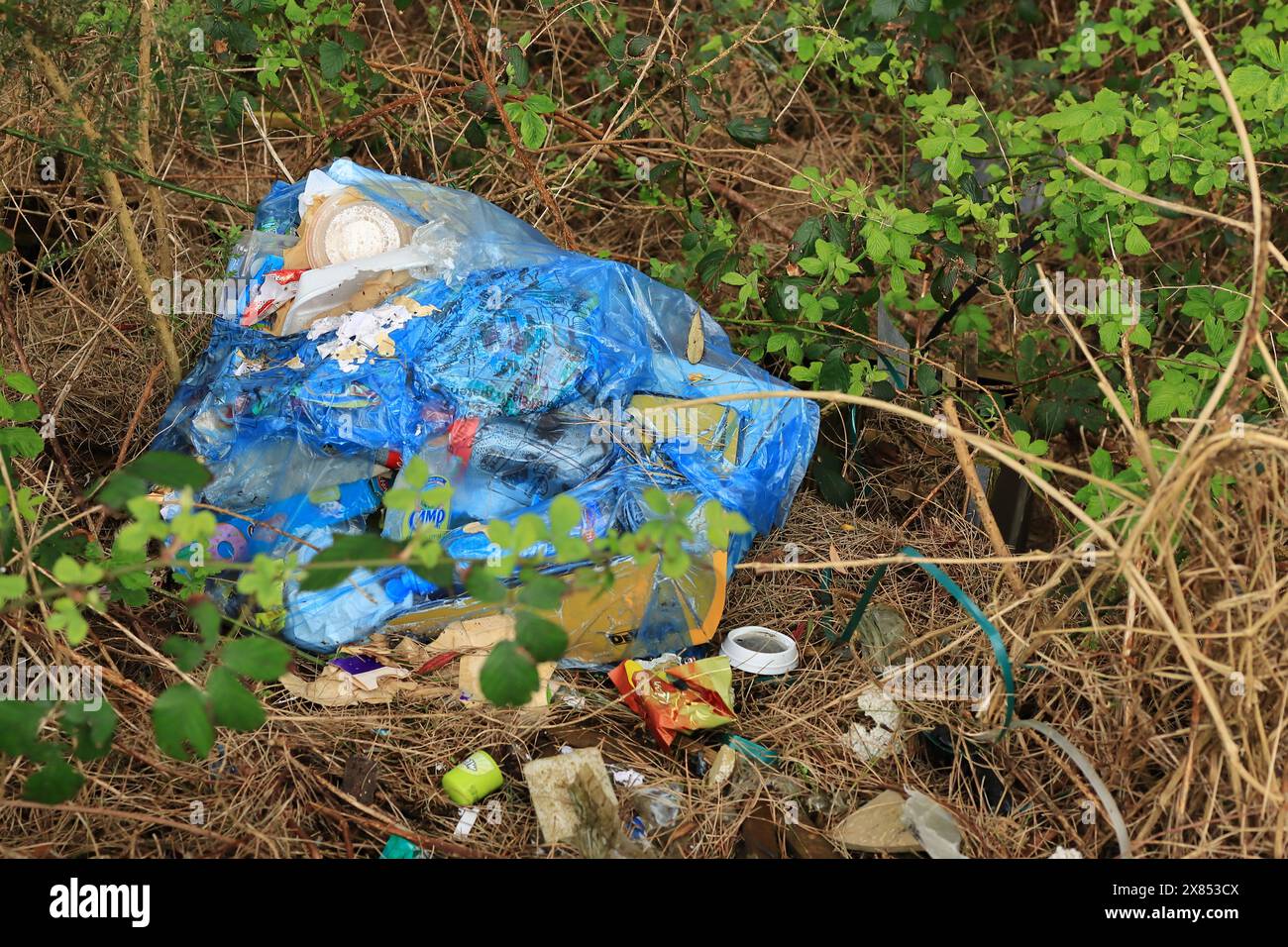 A thin blue plastic bag stuffed with rubbish and dumped on ground in ...