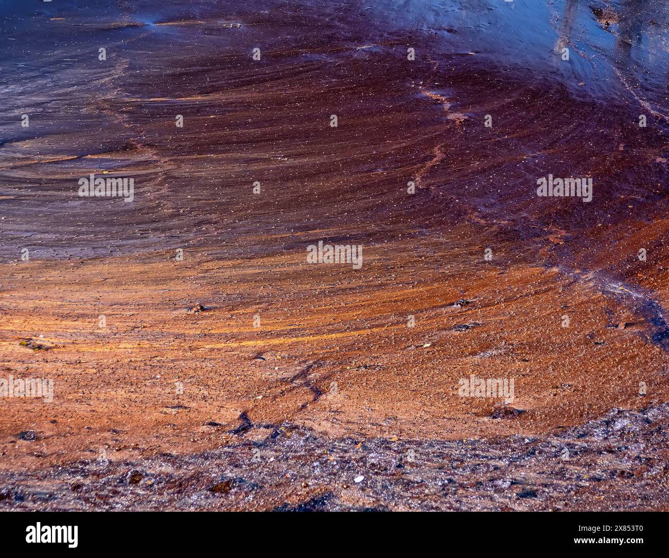 Heavily polluted water, surface biofilm, bacterial tuft. Blue-green ...