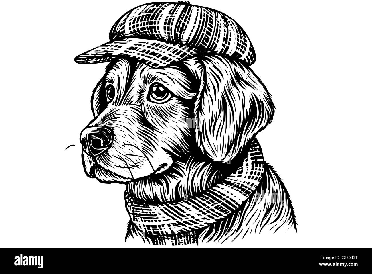 Vintage Hand-Drawn Dog Portrait with Hat: Etching Style Illustration of ...