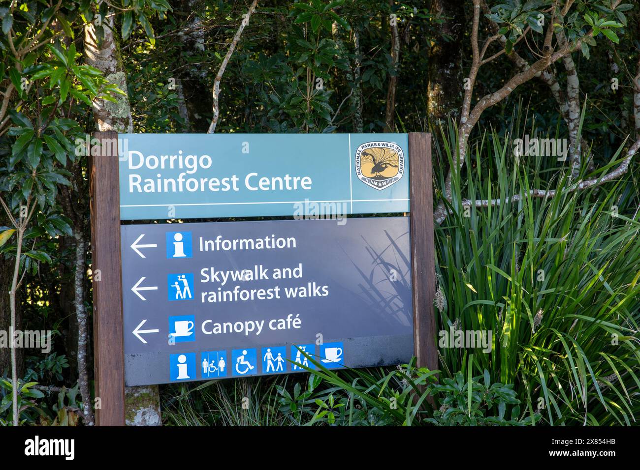 Dorrigo national park in regional New South Wales with national parks ...