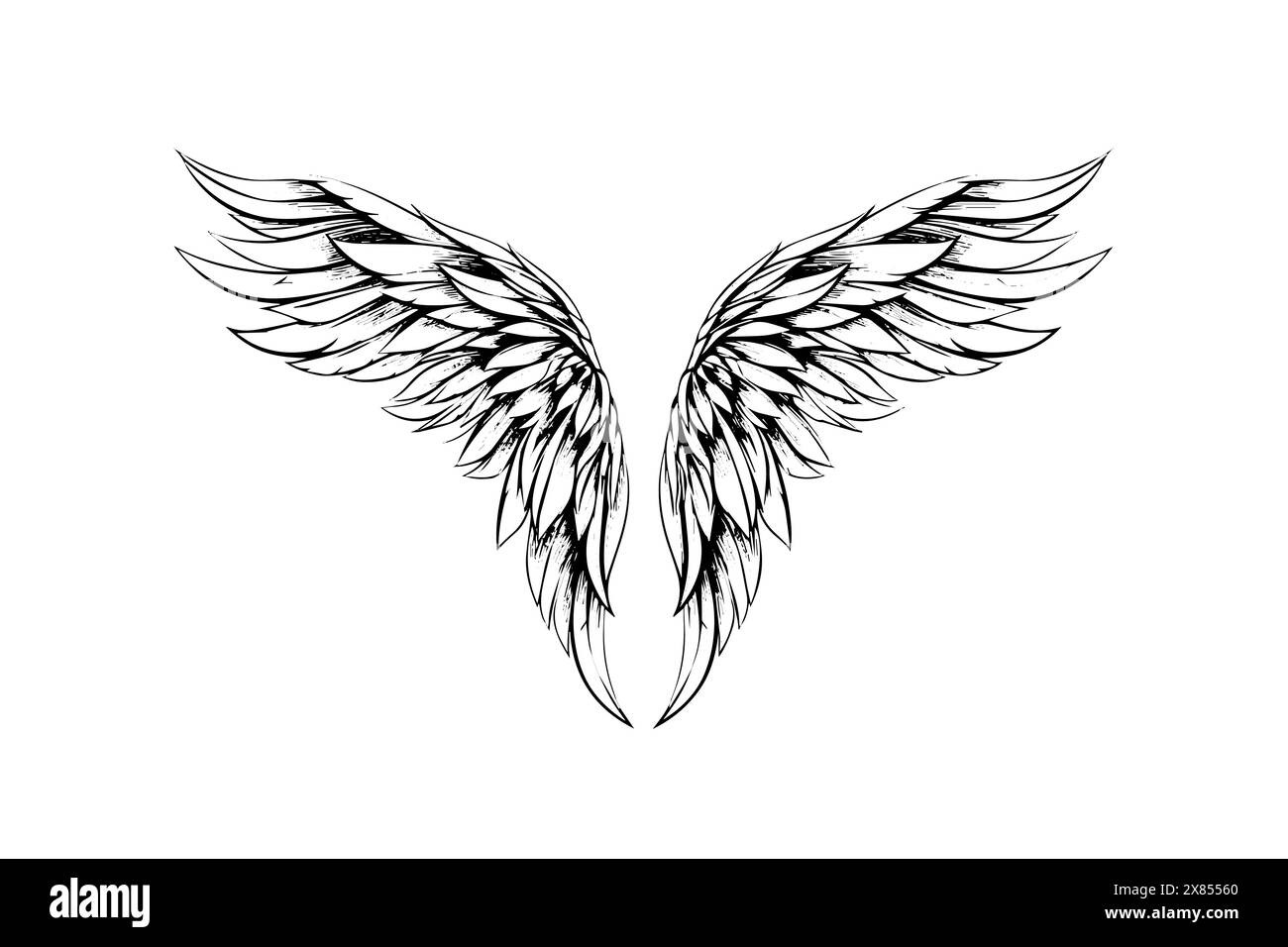 Angel wings ink sketch in engraving style. Hand drawn fenders vector ...
