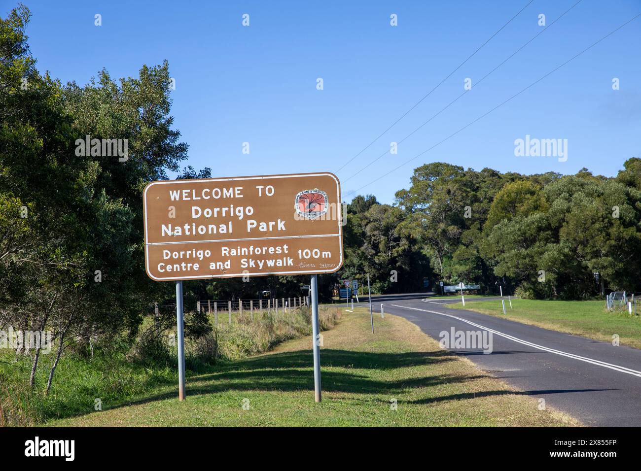 Dorrigo national park in New South Wales, world heritage listed ...