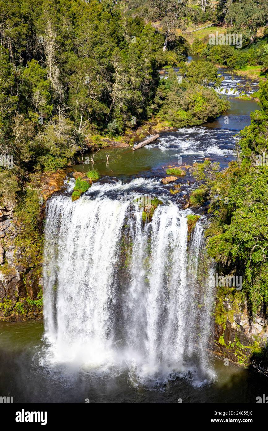 Dangar Falls waterfall with 30 metre drop, in full flow after recent rains, Dorrigo in the New ...