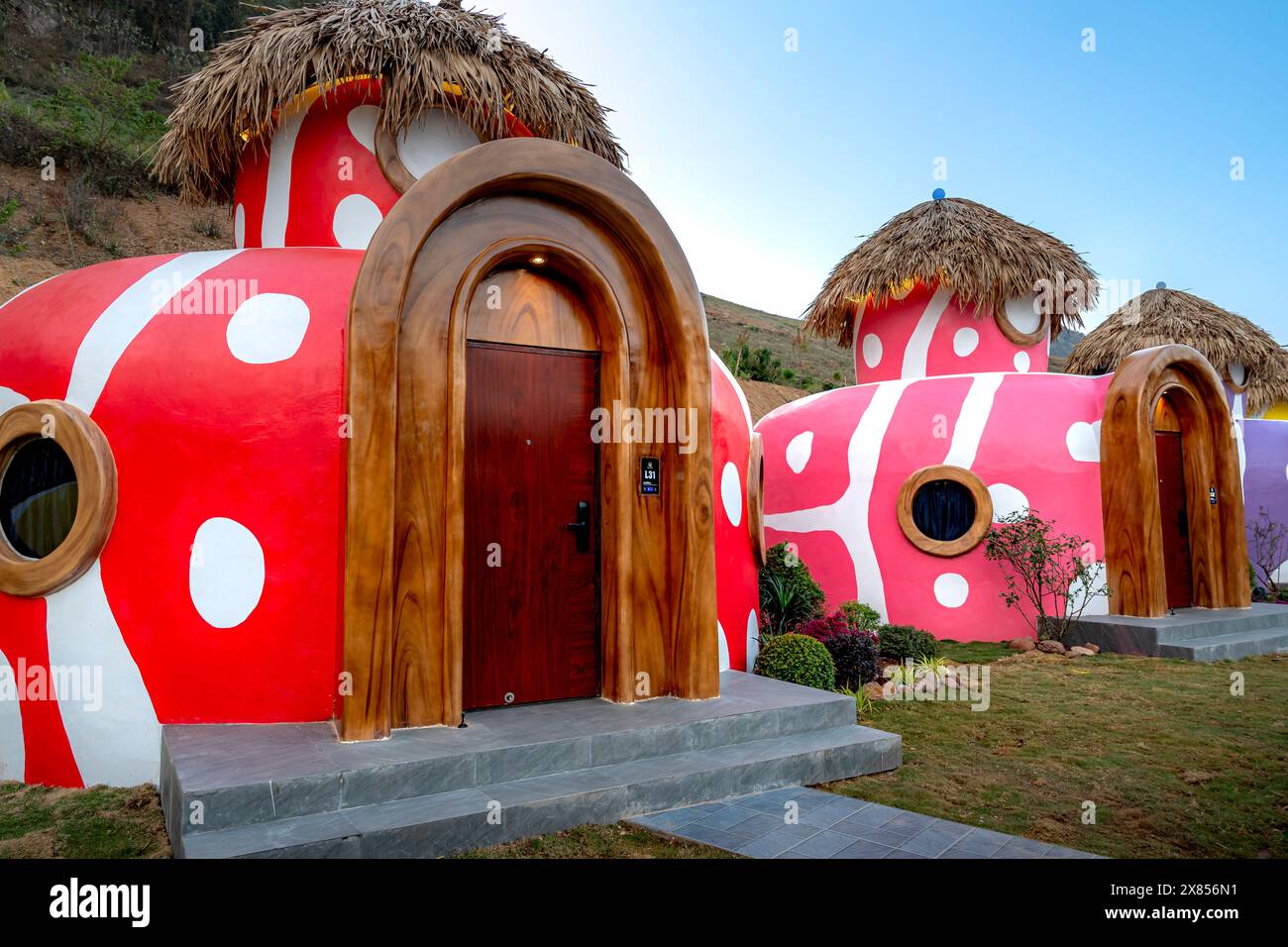 Moc Chau island tourist area, Son La province, Vietnam - February 18 ...