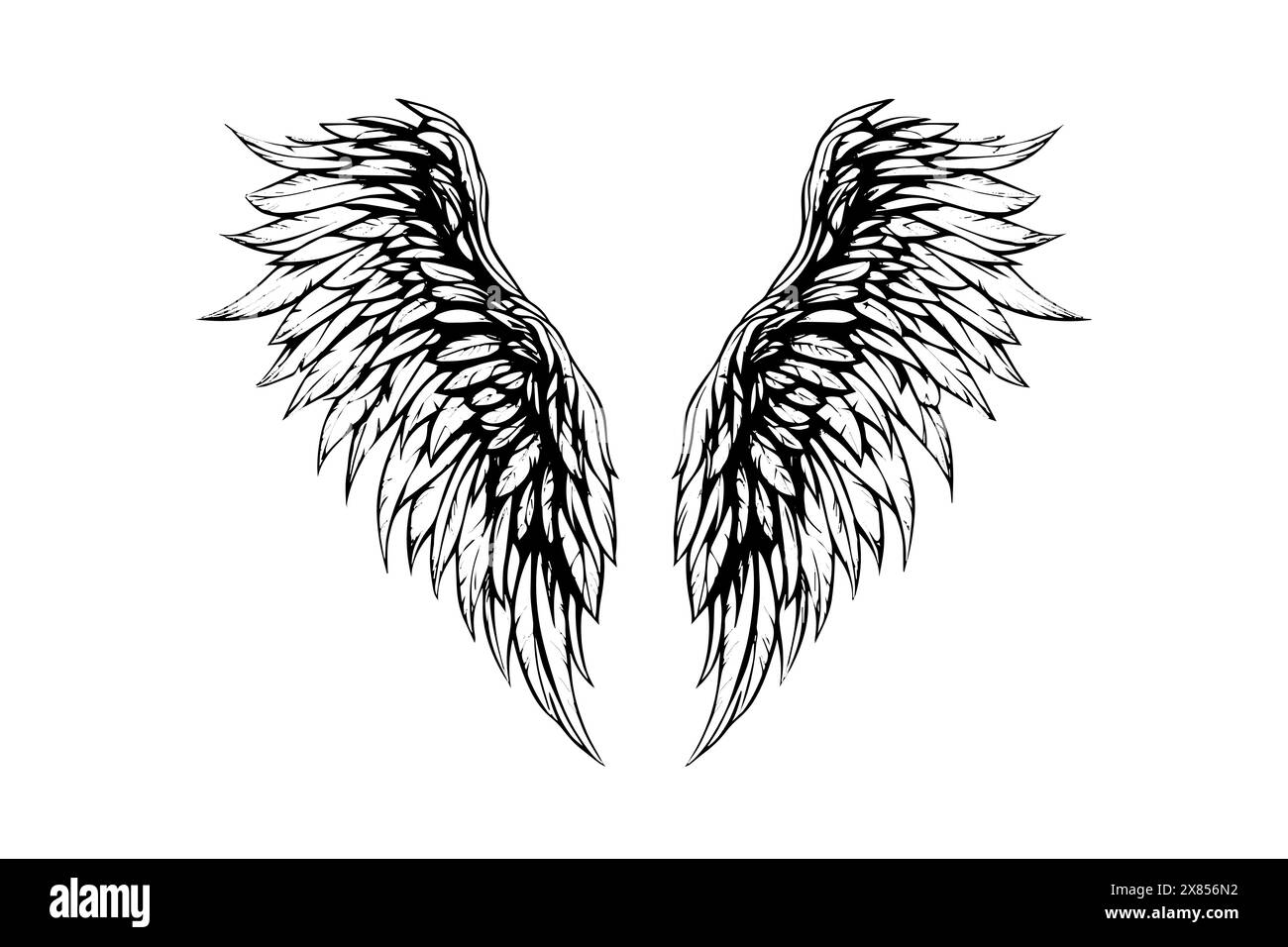 Angel wings ink sketch in engraving style. Hand drawn fenders vector ...
