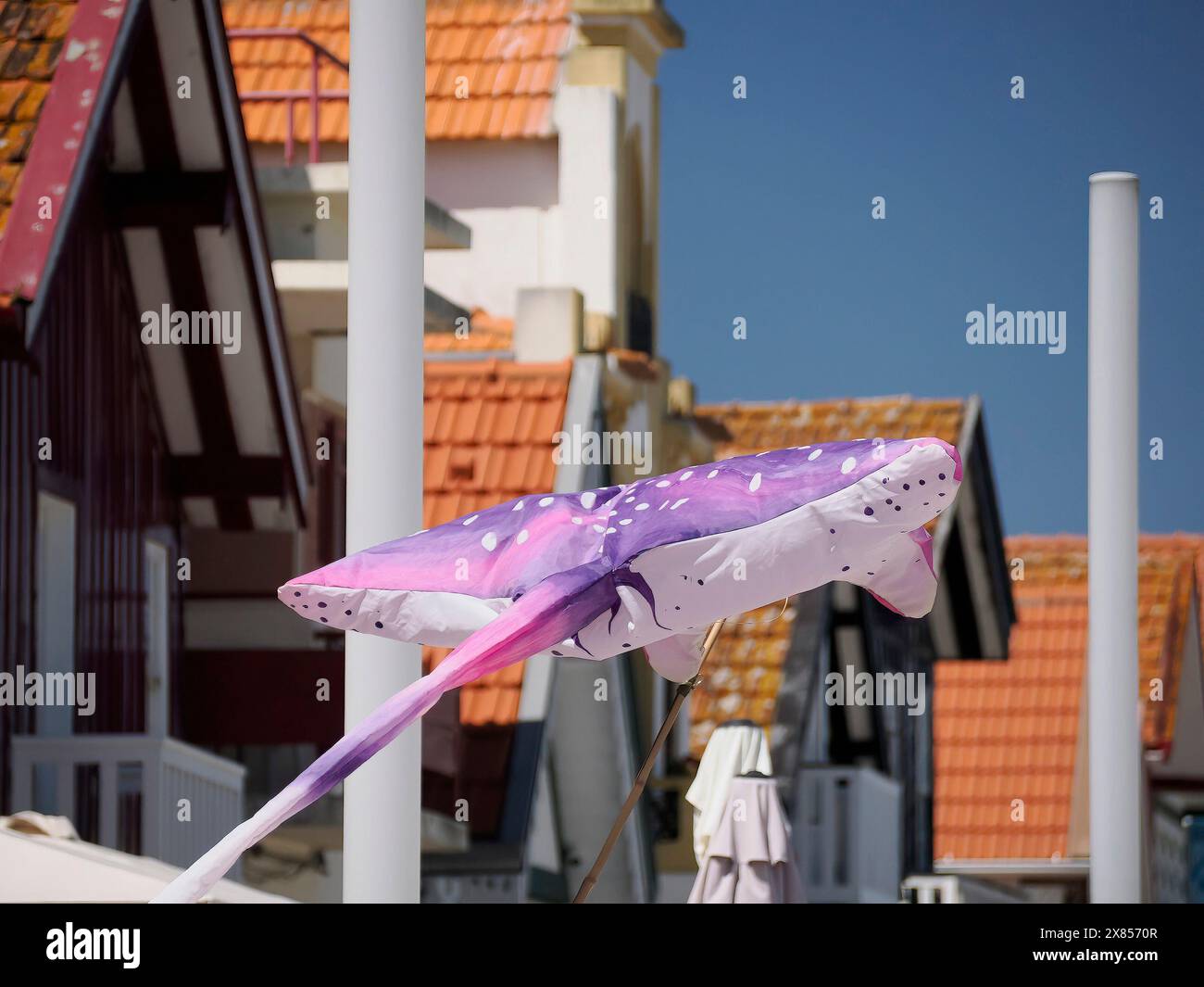 Manta ray maori hi-res stock photography and images - Alamy