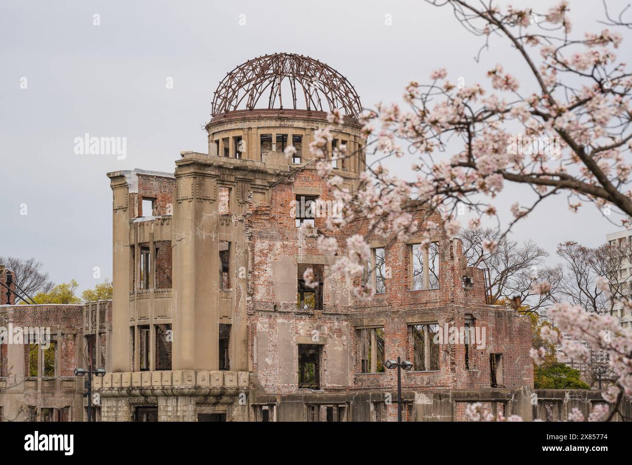 Hiroshima Peace Memorial aka Genbaku Dome (Atomic Bomb Dome). Cherry ...