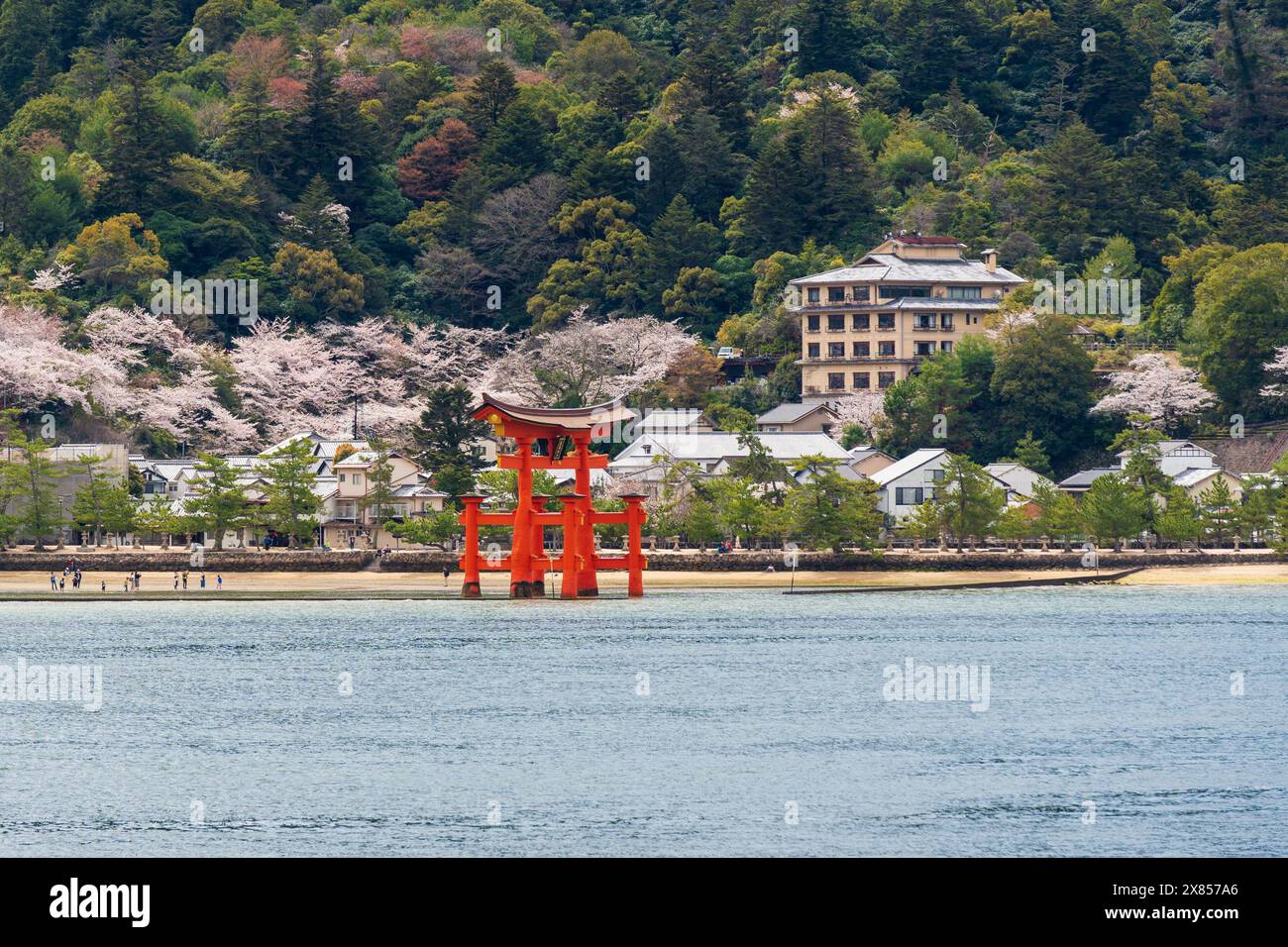 O-torii ( Grand Torii Gate ) stands in Miyajima Island bay beach ...
