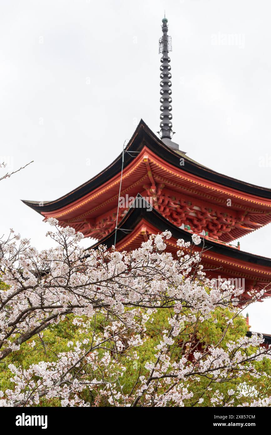Five-Tiered Pagoda at Itsukushima Toyokuni Shrine (Senjokaku). Cherry ...