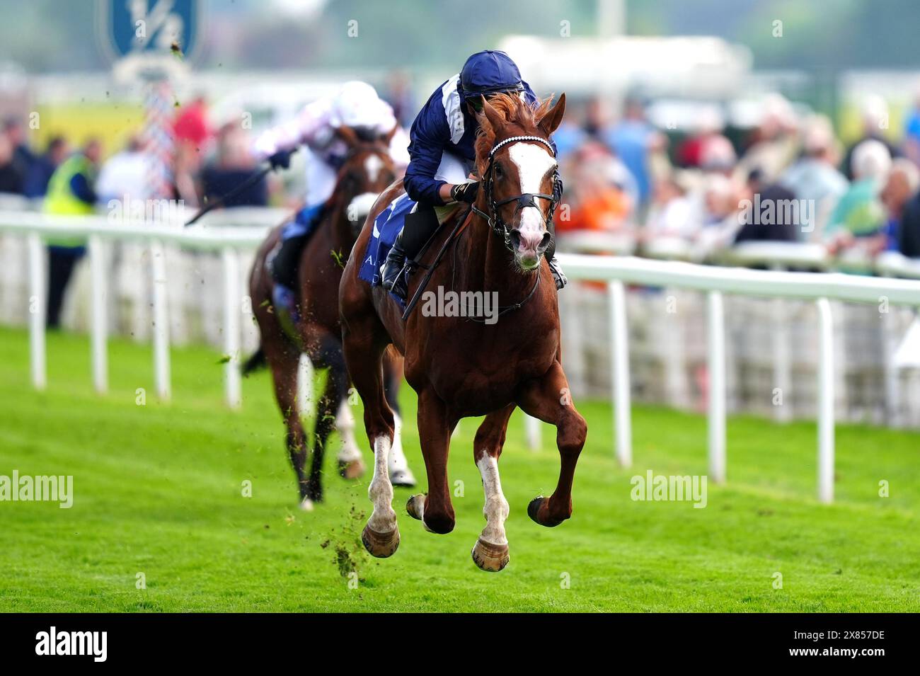 Economics horse racing 2024 hi-res stock photography and images - Alamy