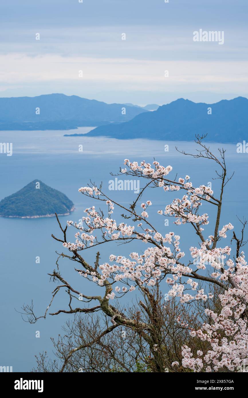 Islands of the Seto Inland Sea with cherry blossoms in full bloom in ...