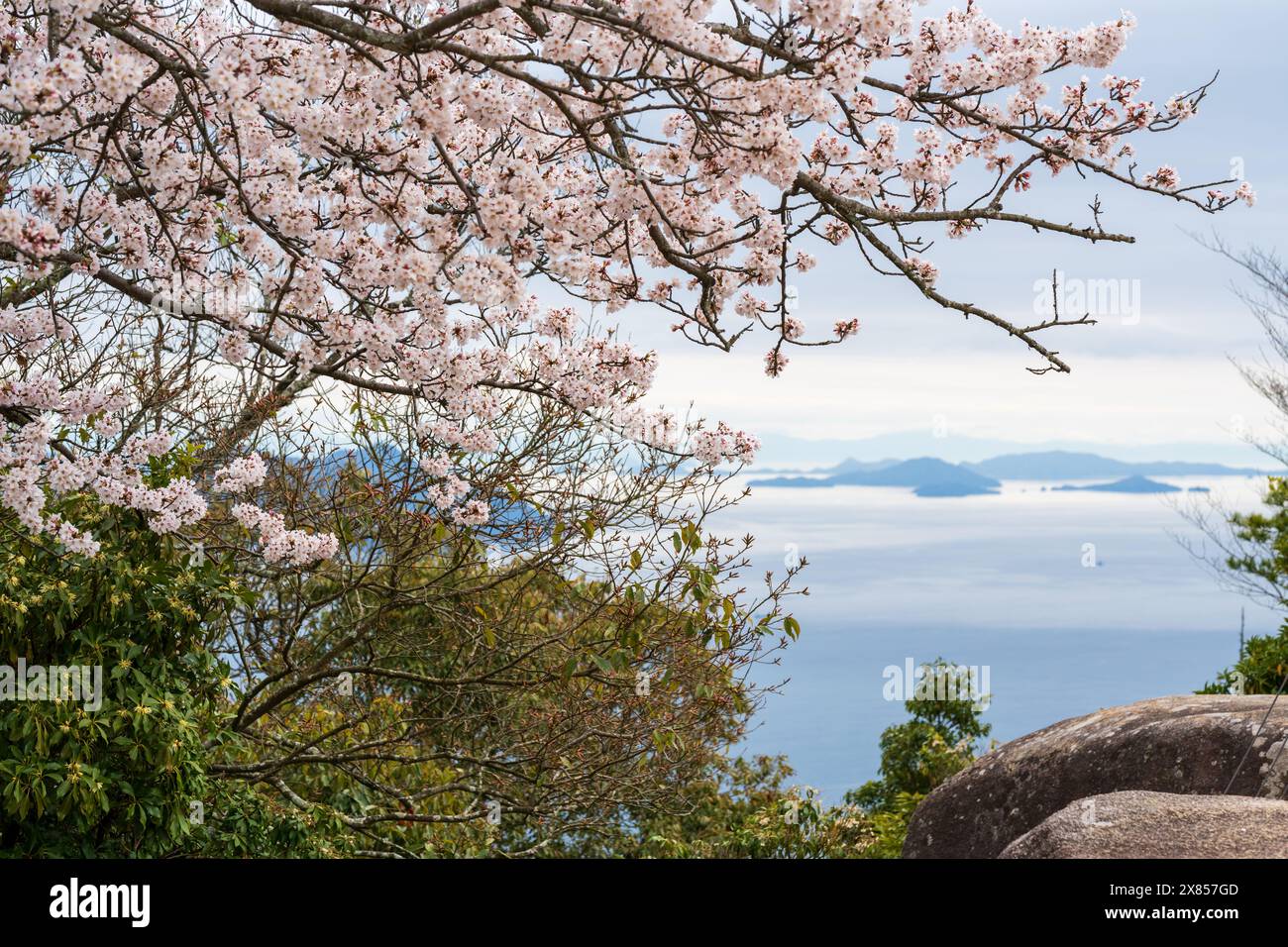 Islands of the Seto Inland Sea with cherry blossoms in full bloom in ...