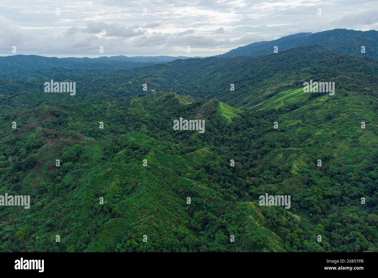 Aerial view of pristine tropical jungle in Venezuela, with hills and ...