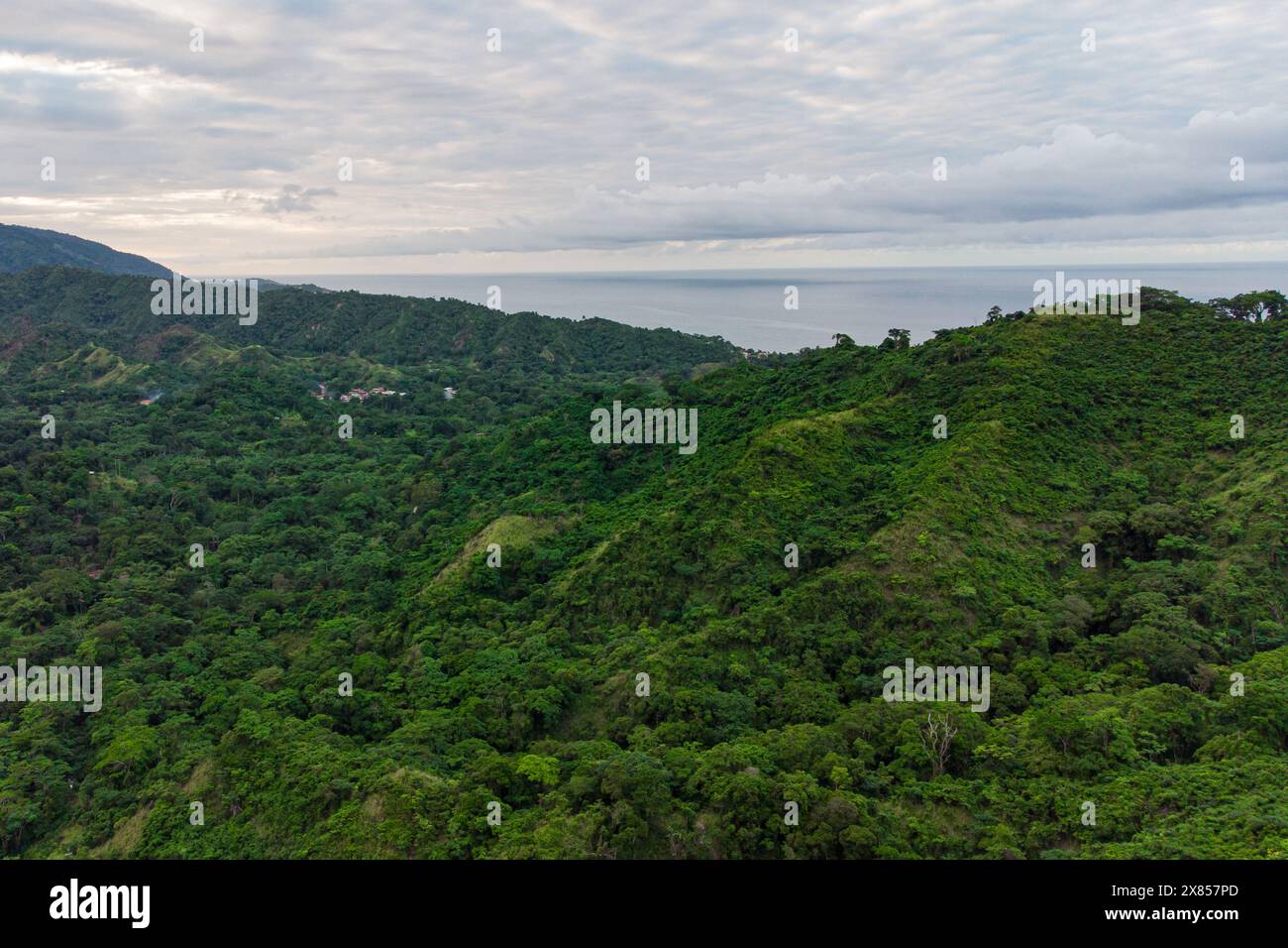 Aerial view of pristine tropical jungle in Venezuela, with hills and ...