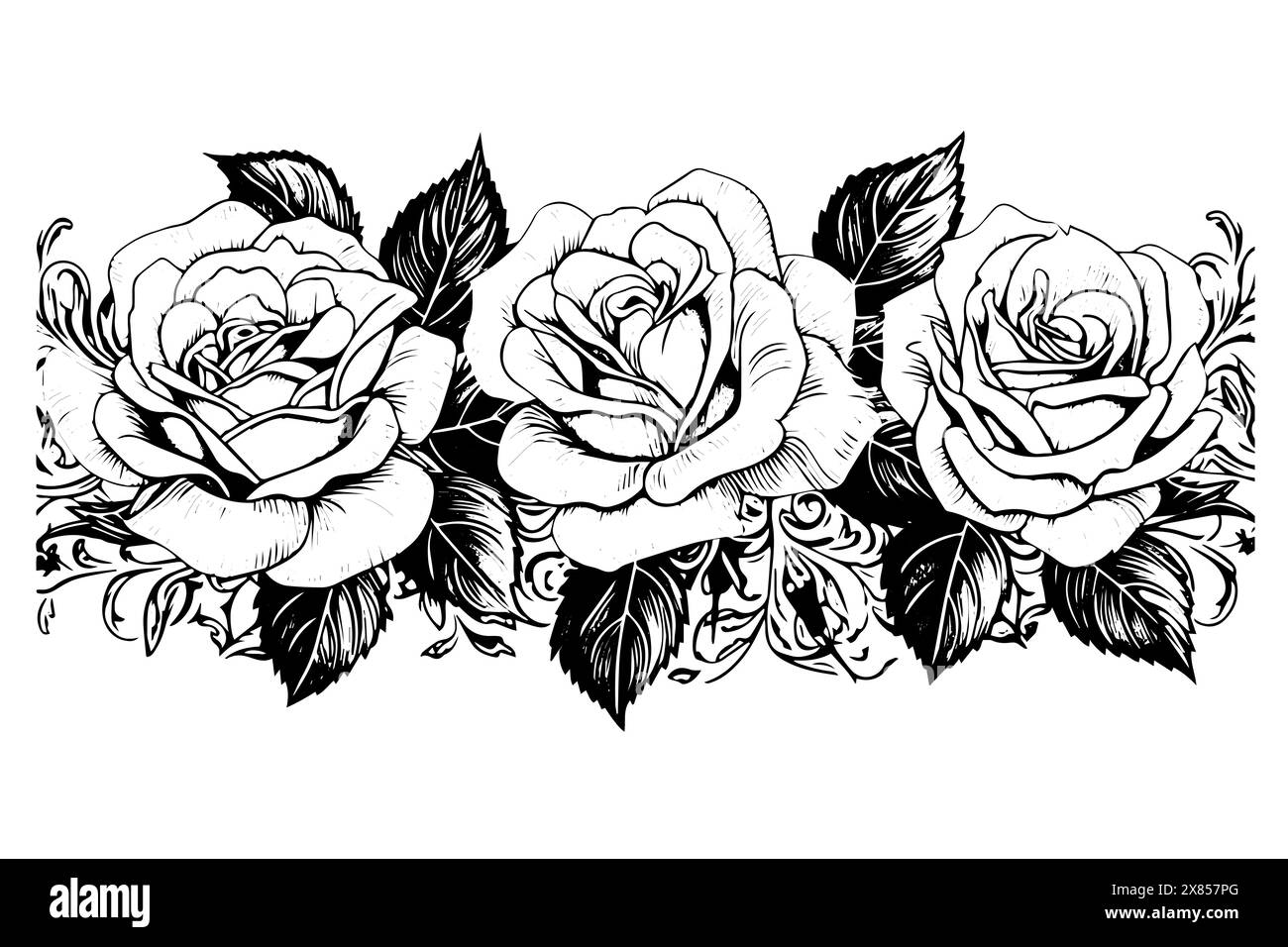 Rose flower border hand drawn ink sketch. Engraving style vector illustration Stock Vector Image ...