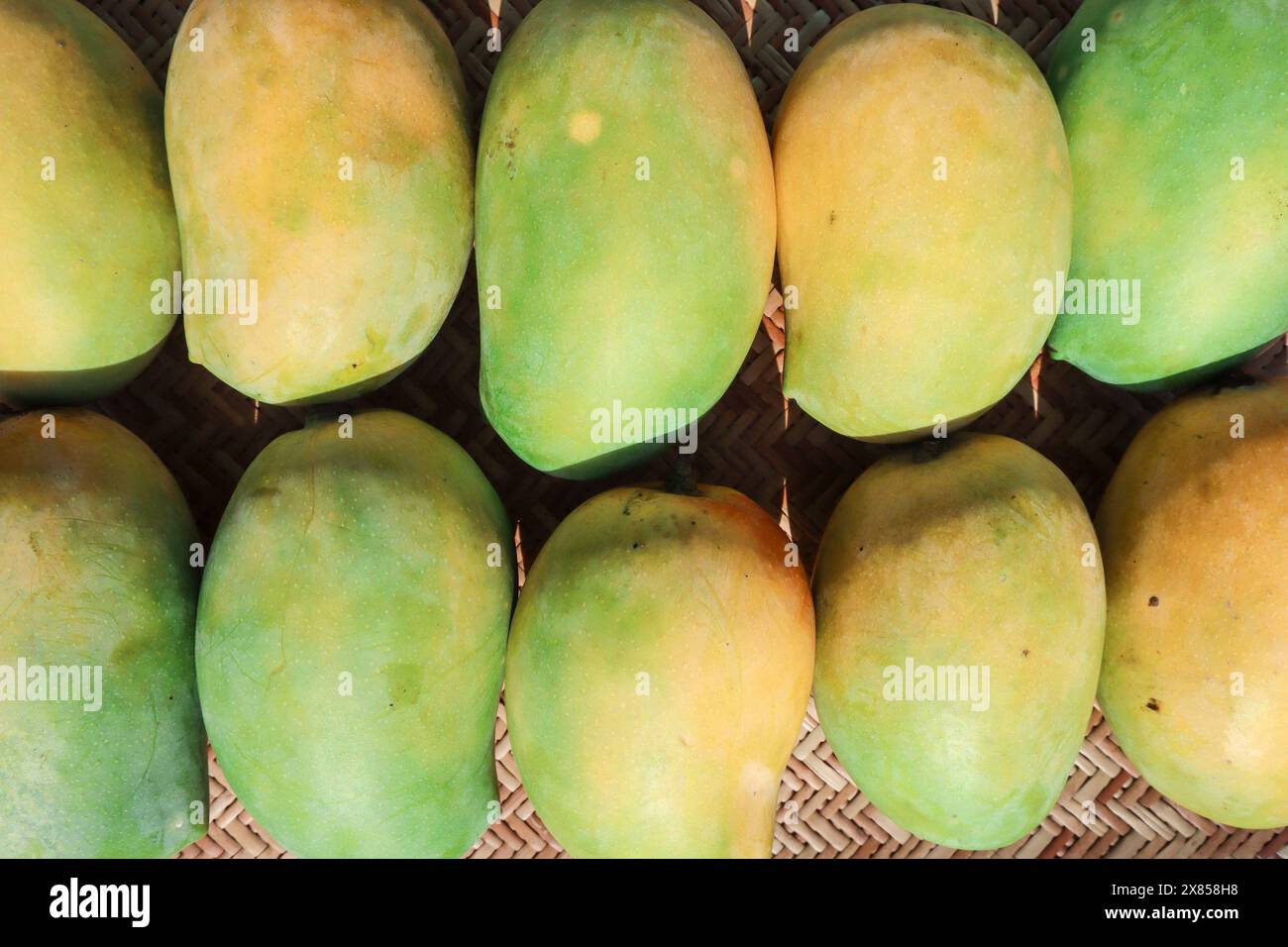 Ripe mango, Fresh yellow mango. Kesar Keri mango fruits. Mango top view ...