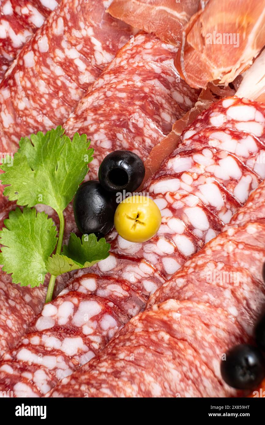 Meat platter - sausages, salami and other types of meat delicacies with ...