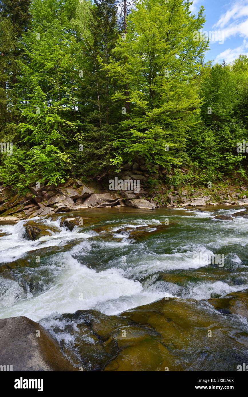 View of the turbulent water flow of the mountain river among the green ...