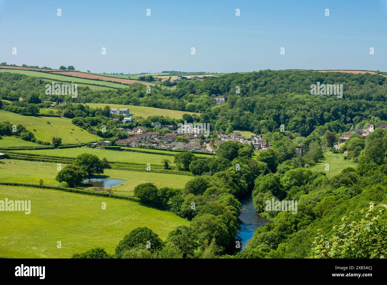 The River Torridge and the hamlet of Taddiport beyond from Great ...