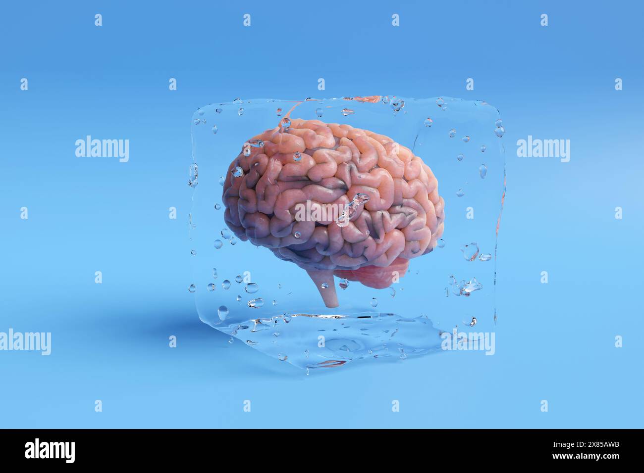Human brain in a transparent ice cube on blue background. Concept of ...