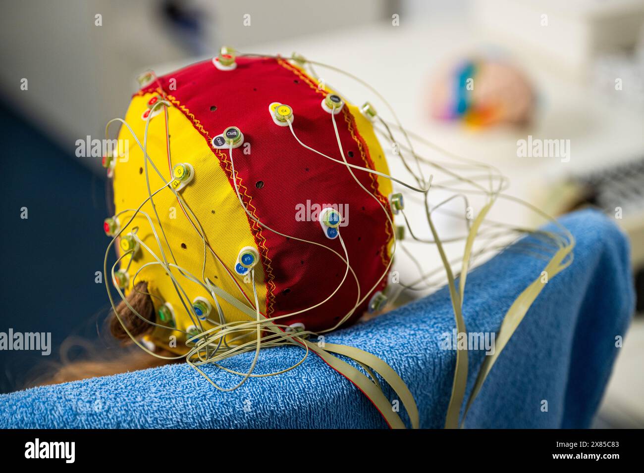 29 April 2024, Thuringia, Jena: An EEG subject wears an EEG cap with ...