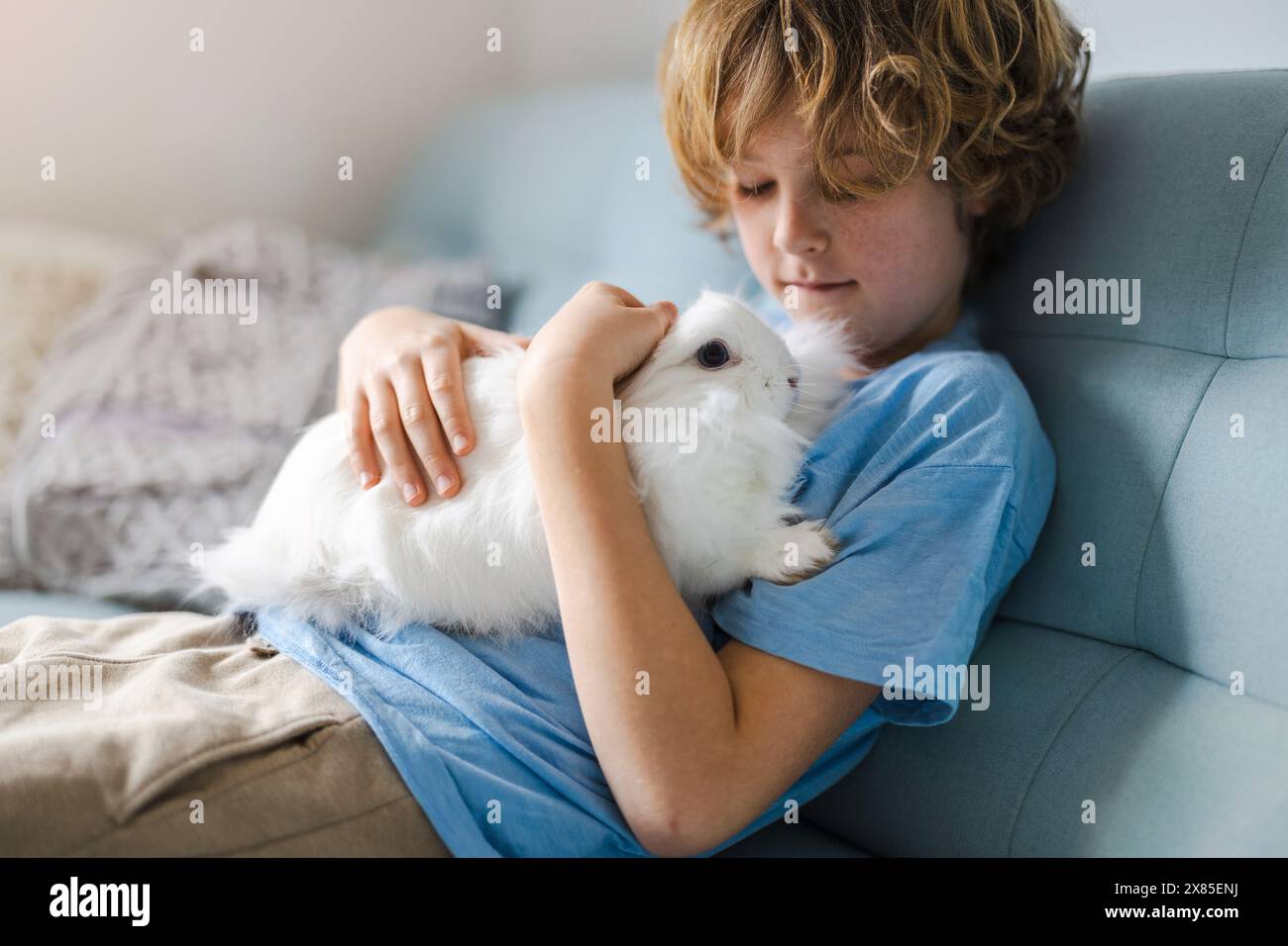 Cute little boy cuddling his bunny pet at home Stock Photo - Alamy