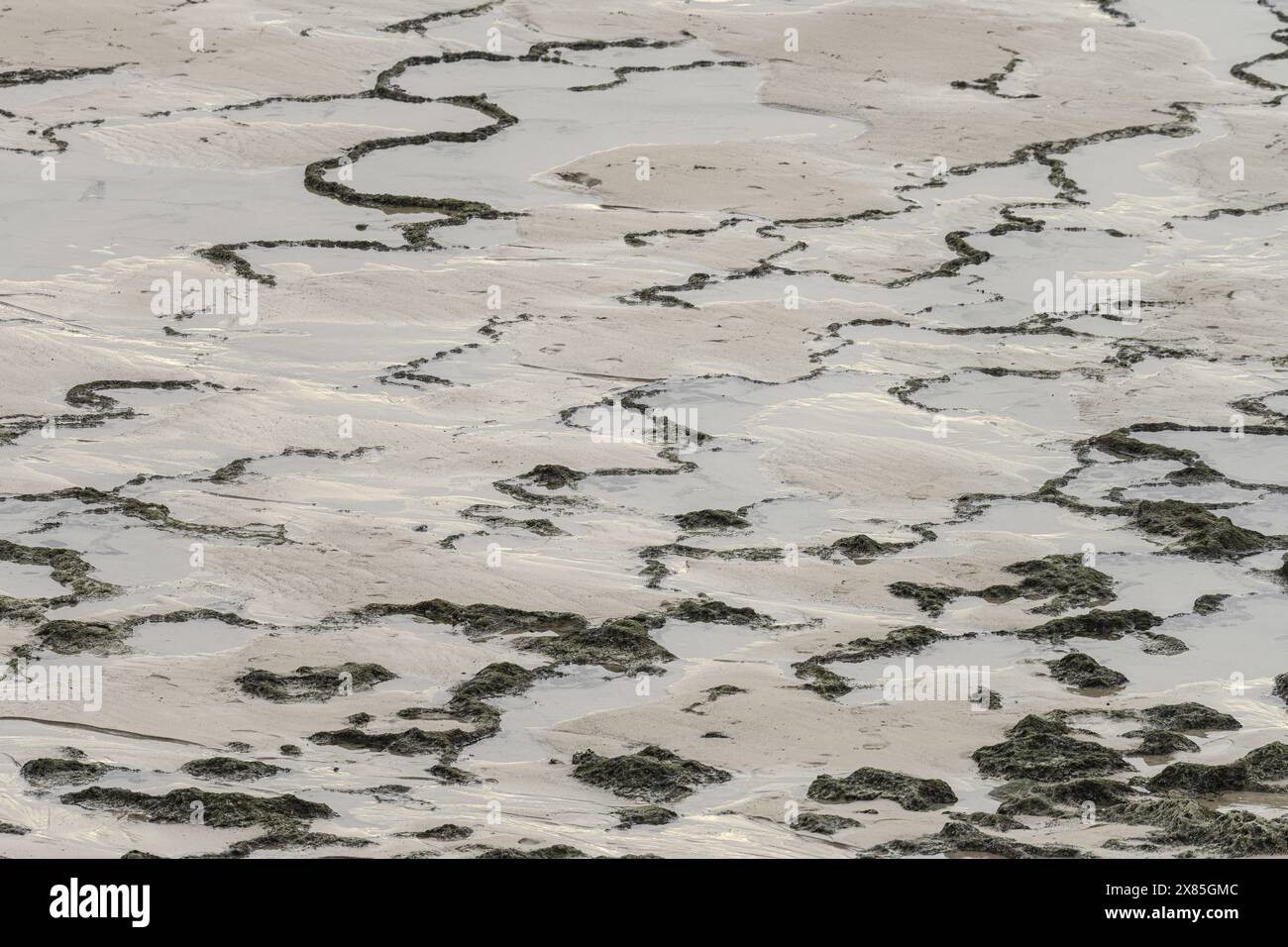 Intricate tide patterns and sand textures created by the ebbing water ...