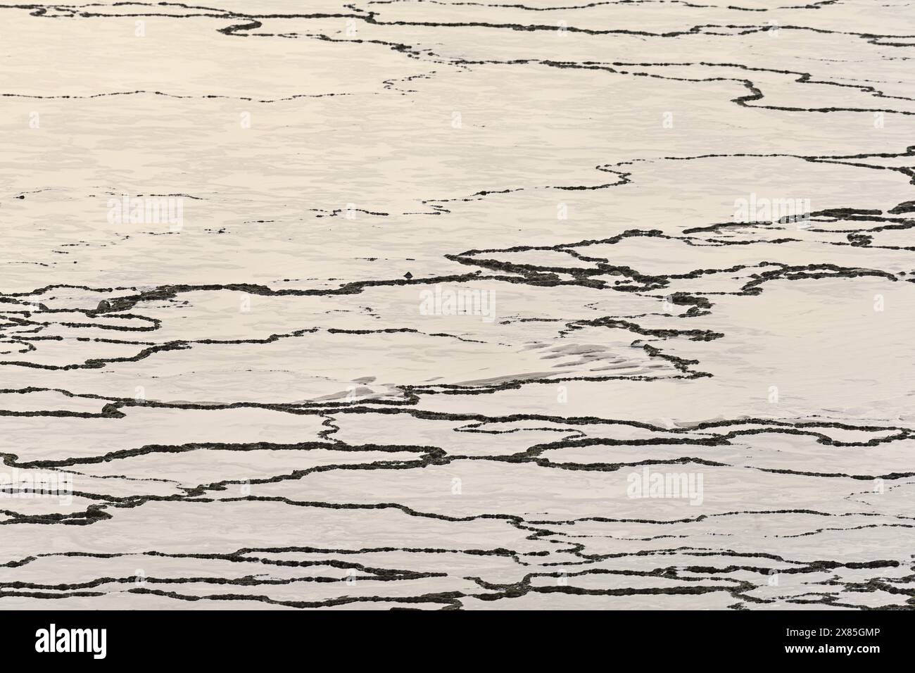 Intricate tide patterns and sand textures created by the ebbing water ...