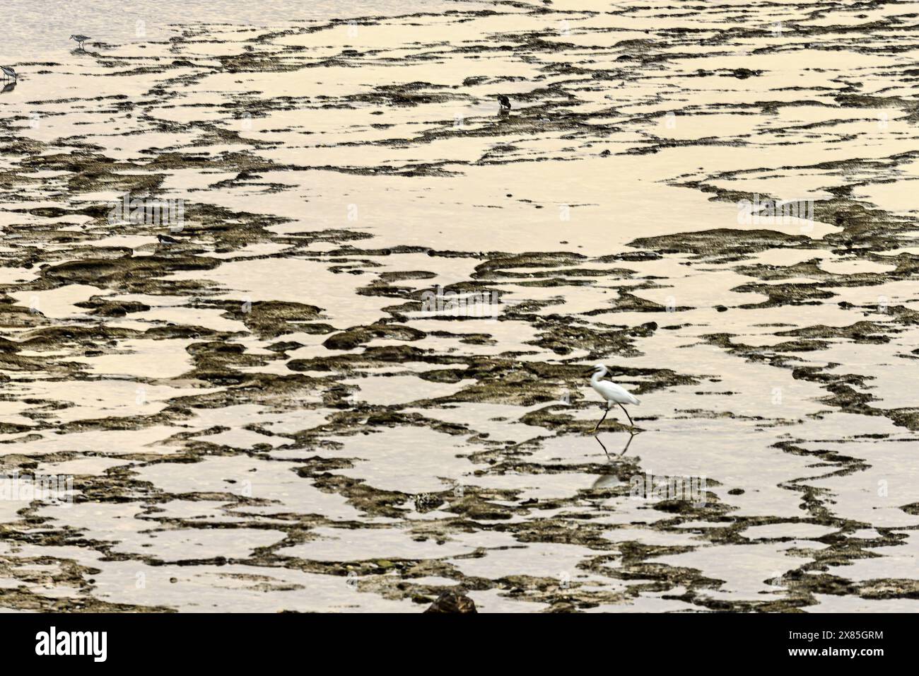 Intricate tide patterns and sand textures created by the ebbing water ...
