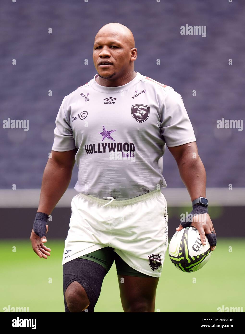 Bongi mbonambi sharks rugby hi-res stock photography and images - Alamy