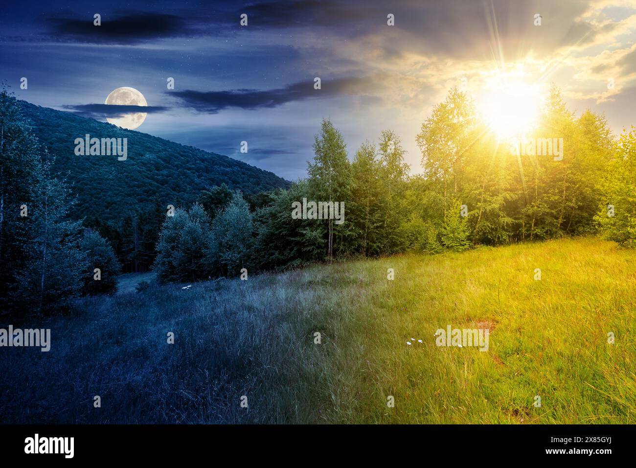 scenery with trees on the hill in summer solstice. beautiful mountain ...