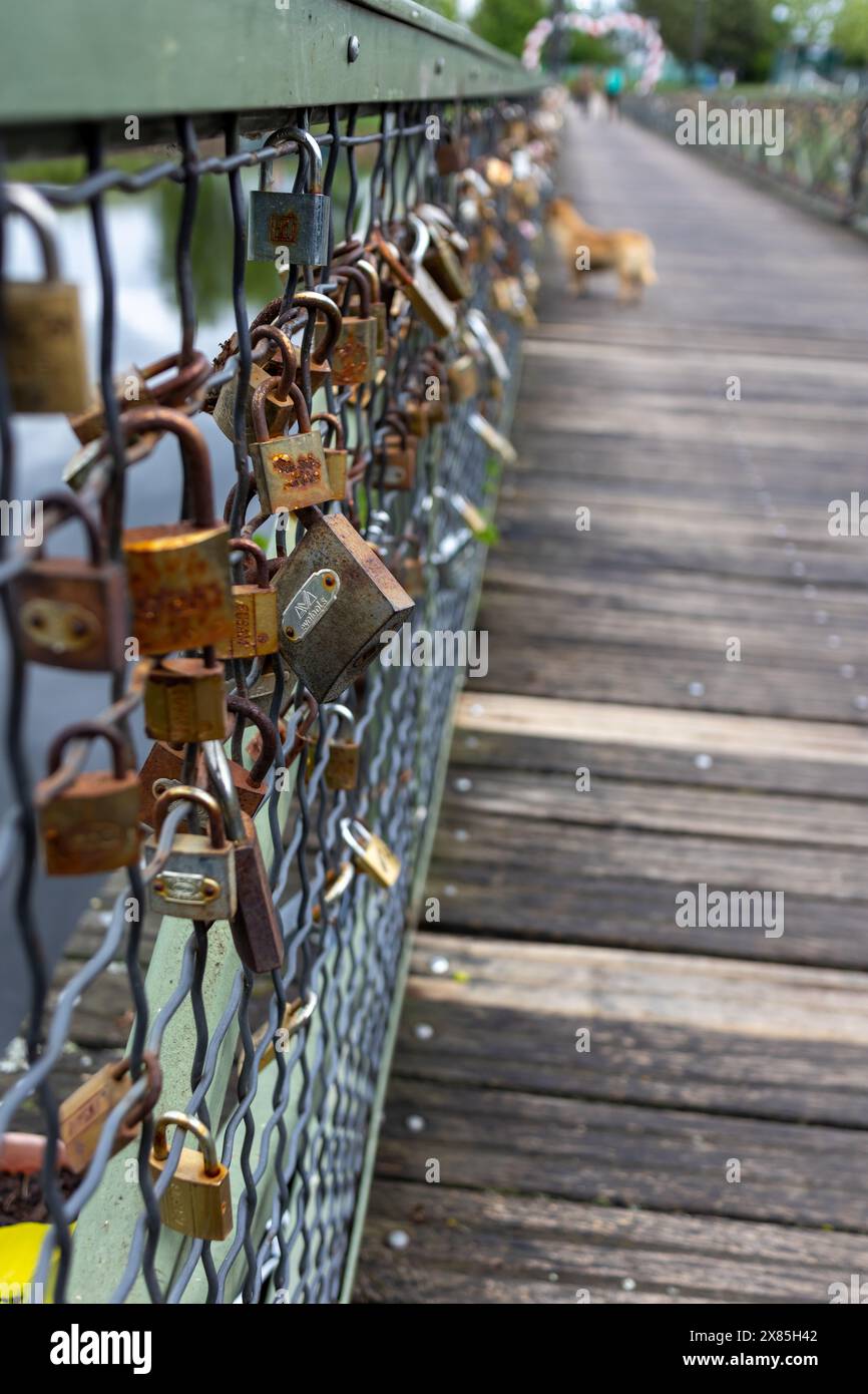 A close-up of numerous love locks attached to a bridge railing ...
