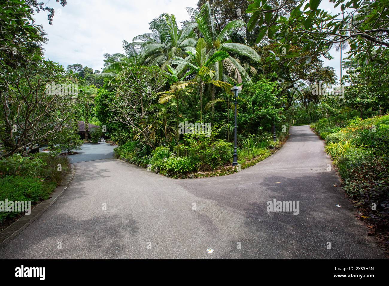 Paths and green landscaping view at Singapore Botanic Gardens. UNESCO Heritage site in the world ...