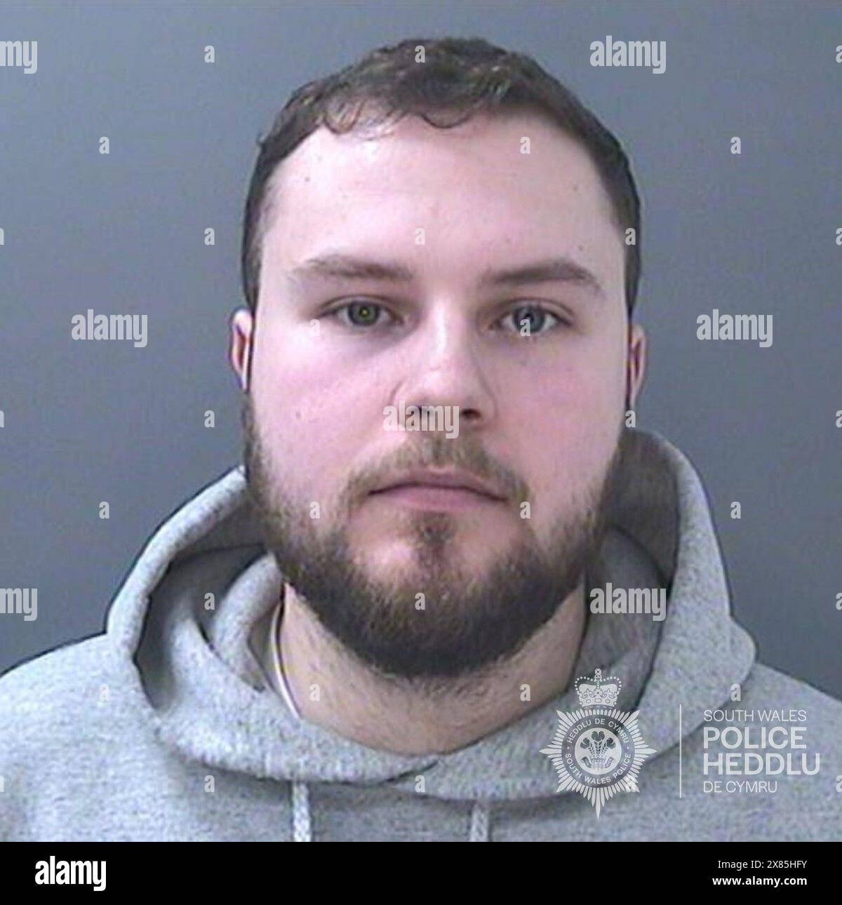 Undated handout file photo issued by South Wales Police of Lewis ...