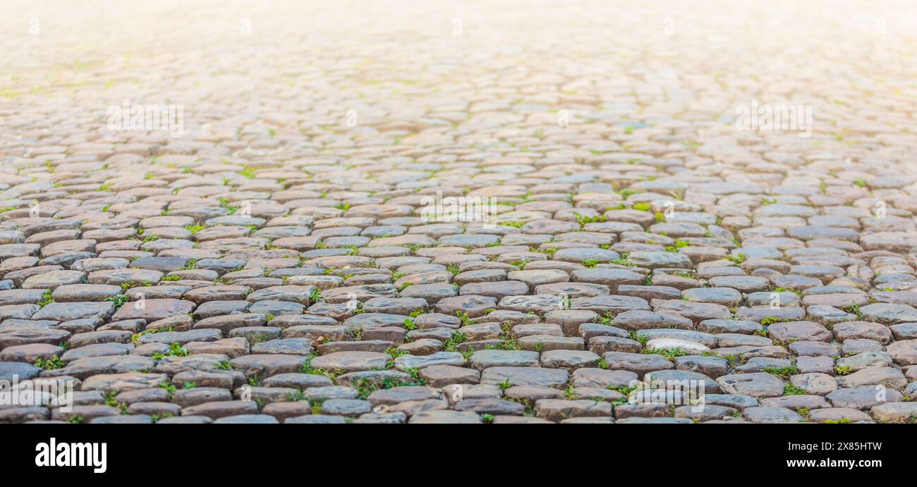 The Stone pavement texture in perspective on sunlight Stock Photo - Alamy