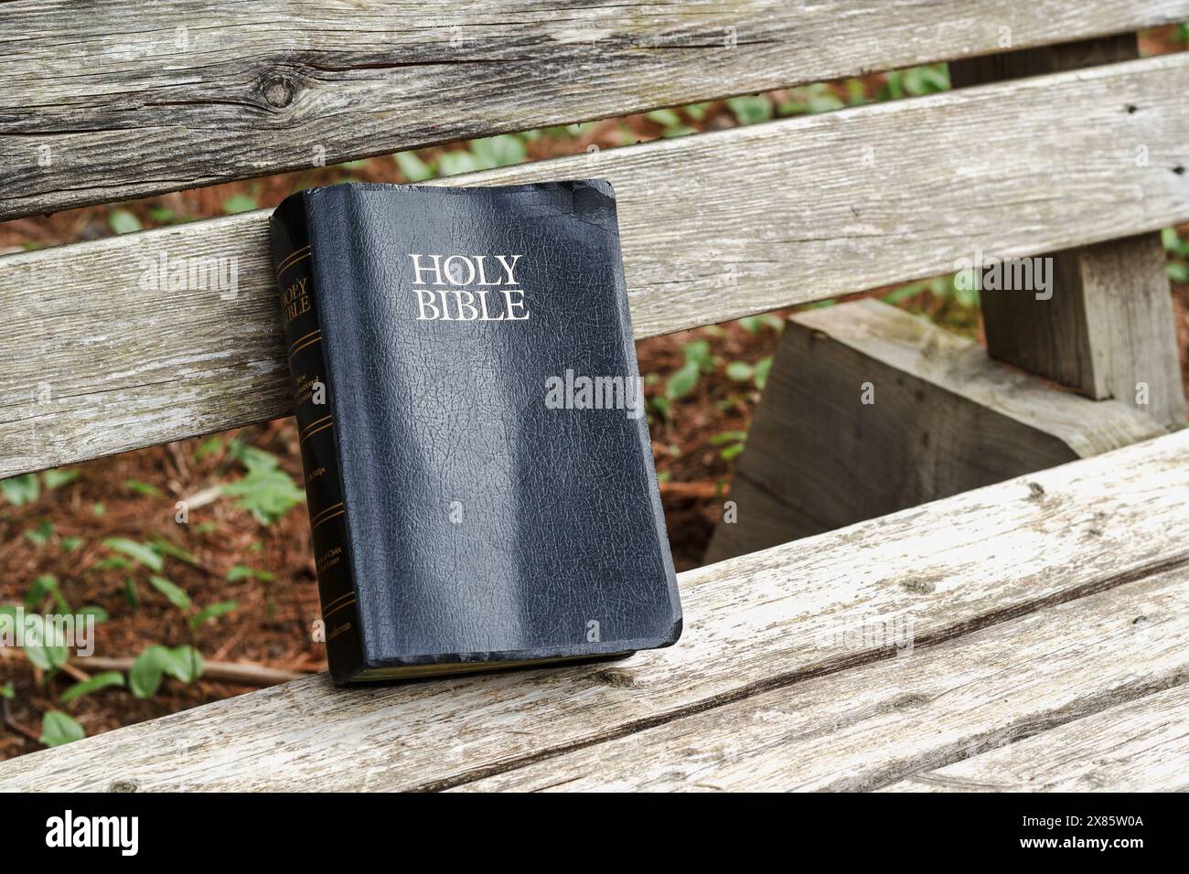 The Holy Bible resting on a park bench Stock Photo - Alamy