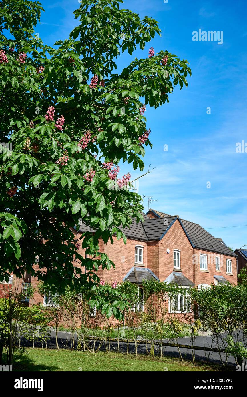 Modern housing estate in Kirkham,UK Stock Photo - Alamy