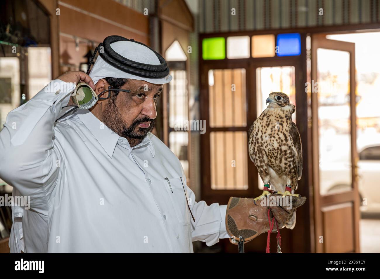 Qatar, Doha, Falcon shop Stock Photo - Alamy