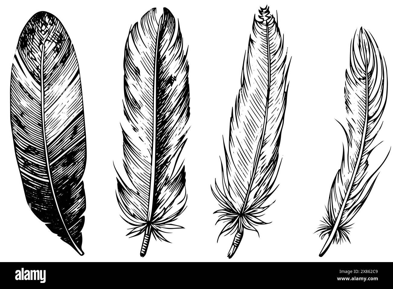Set of feather engraved in sketch style isolated on white background ...