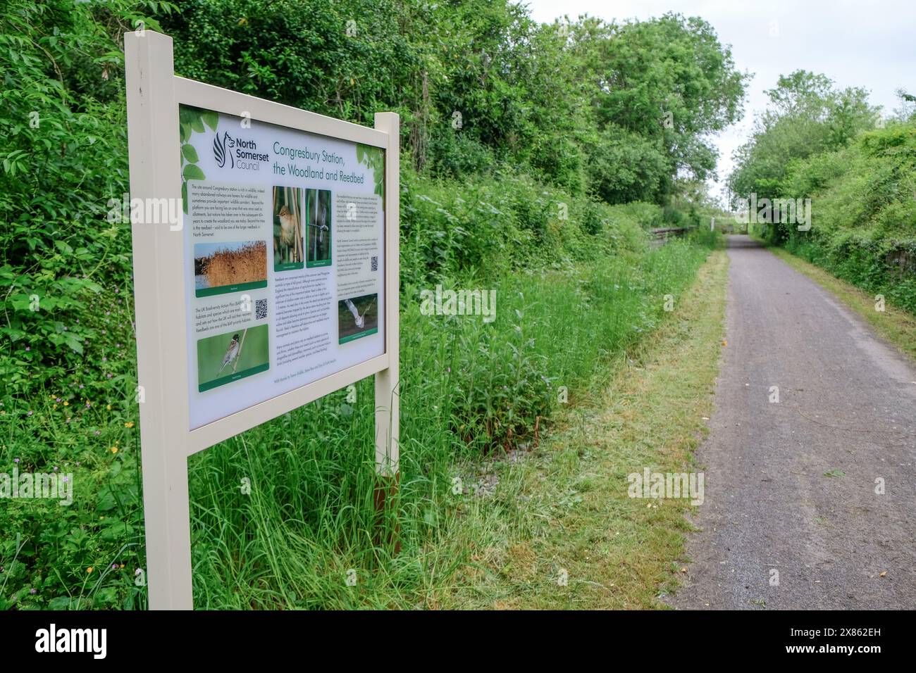 may 2024 - The Strawberry Line at Congresbury Station, in North ...
