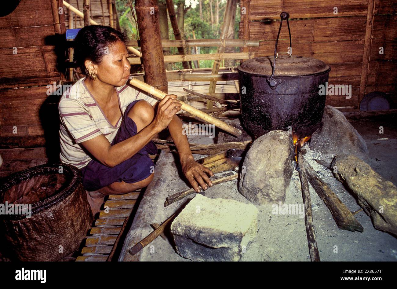 Woman cooks in kitchen hi-res stock photography and images - Alamy