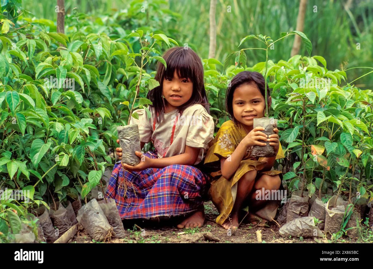 Philippines, Mindanao. Girls show trees in a nursery of a reforestation ...