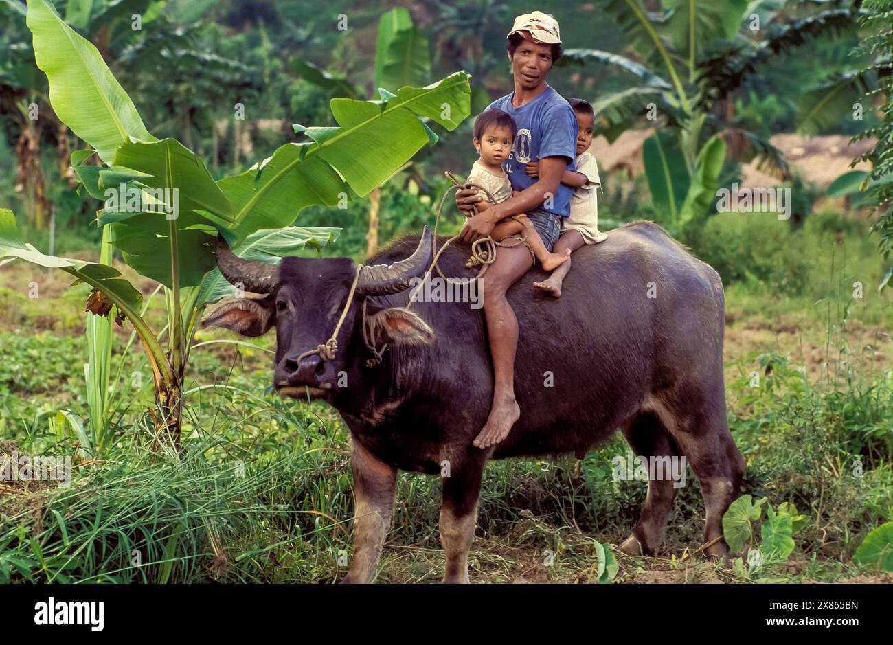 Philippines farmer boys hi-res stock photography and images - Alamy