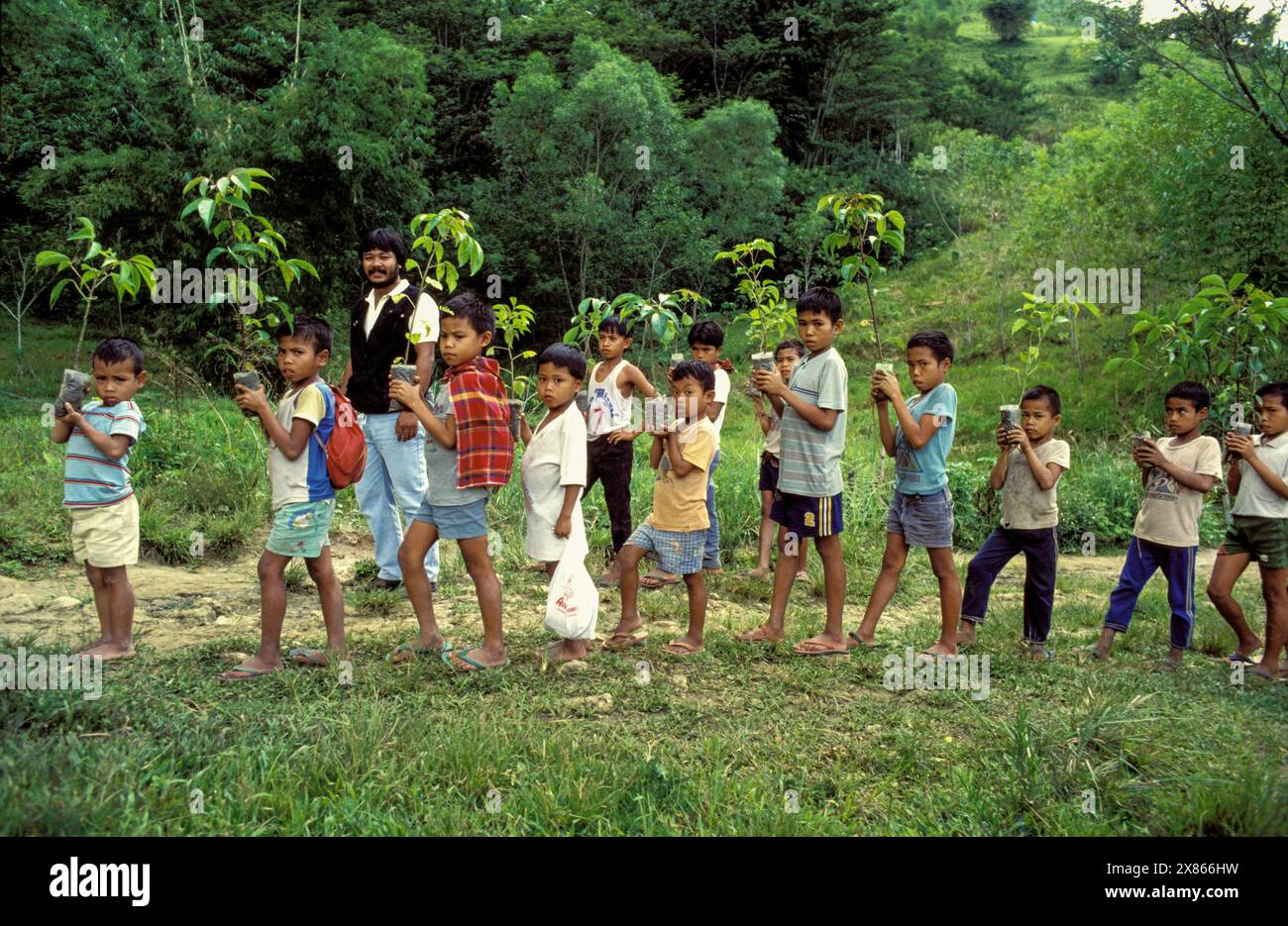 Philippines, Mindanao, School children holding seedlings from a tree ...