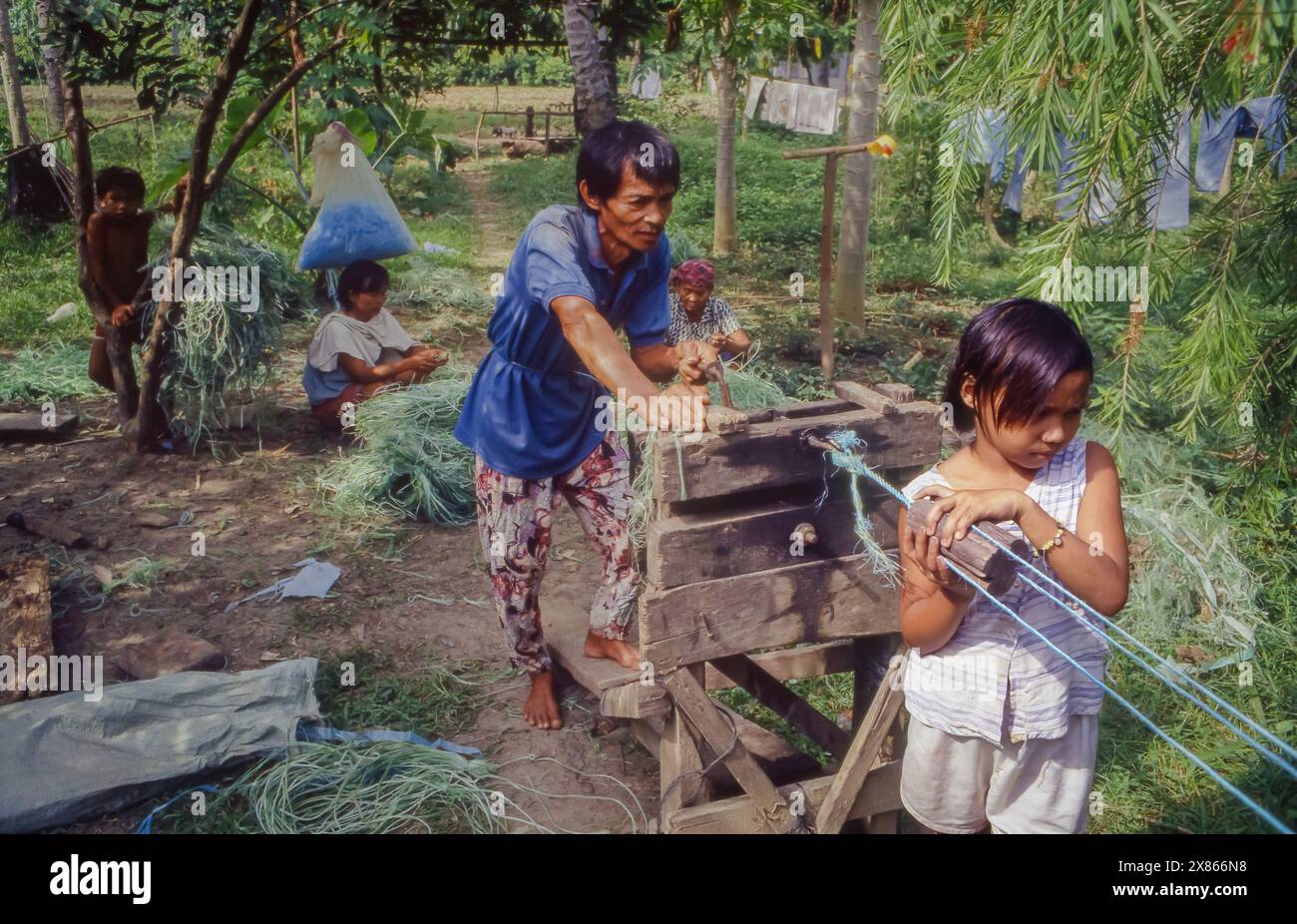 Abaca plant hi-res stock photography and images - Alamy