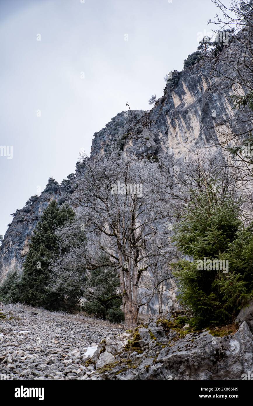 mountain, rock, alps, trees, landscape, sky, nature, snow, rock face ...